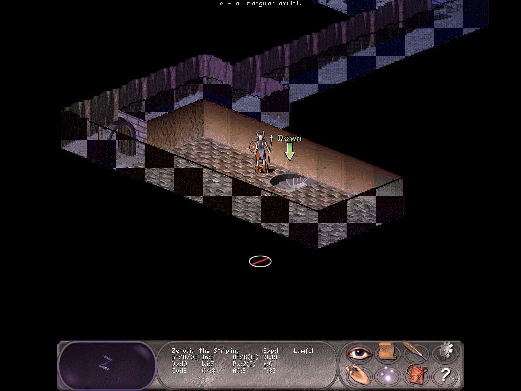 NetHack: Falcon's Eye - LaunchBox Games Database