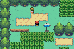 Pokémon Extreme Red Images - LaunchBox Games Database