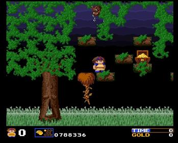 Wardner - LaunchBox Games Database