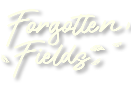 Forgotten Fields Images - LaunchBox Games Database