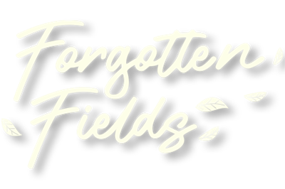 Forgotten Fields Images - LaunchBox Games Database